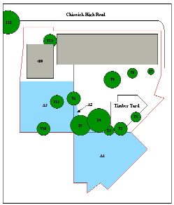 Tom Hurley Arboricultural Consultancy - Portfolio