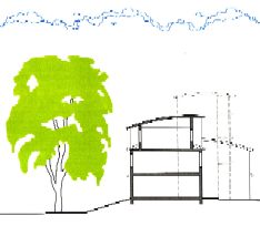Tom Hurley Arboricultural Consultancy - Portfolio