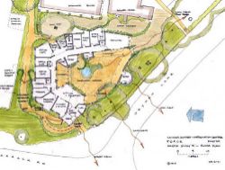 Tom Hurley Arboricultural Consultancy - Portfolio