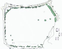 Tom Hurley Arboricultural Consultancy - Portfolio