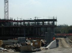 Tom Hurley Arboricultural Consultancy - Portfolio