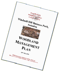 Tom Hurley Arboricultural Consultancy - Services