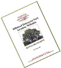 Tom Hurley Arboricultural Consultancy - Services